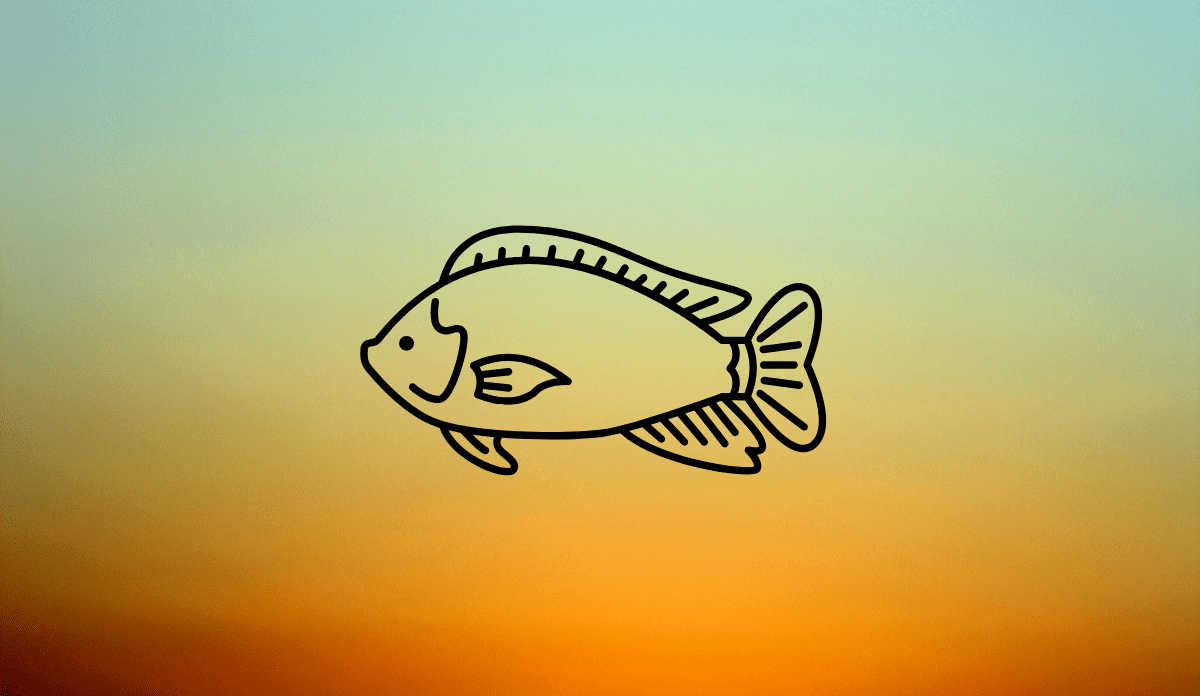 How to Get the Summer Season in Fisch - Dextrava.com